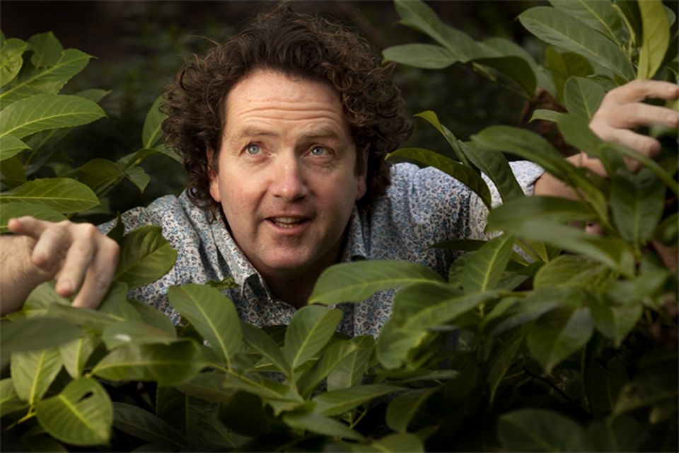Taking the plunge: Brace yourself for Diarmuid Gavin in a pair of ...