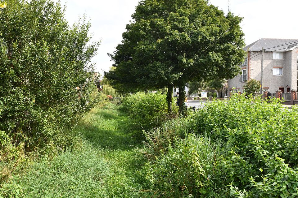 How do you solve a problem like the Rampart River | Irish Independent