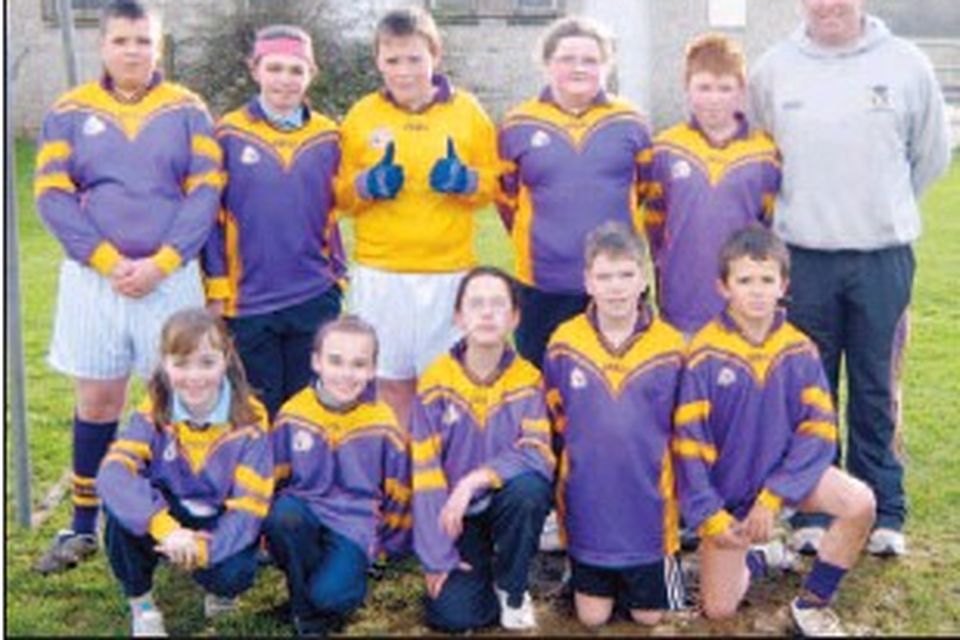 Football fun in Camolin N.S. | Irish Independent