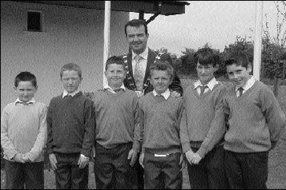Donabate school latest to receive the Green Flag Award | Irish Independent