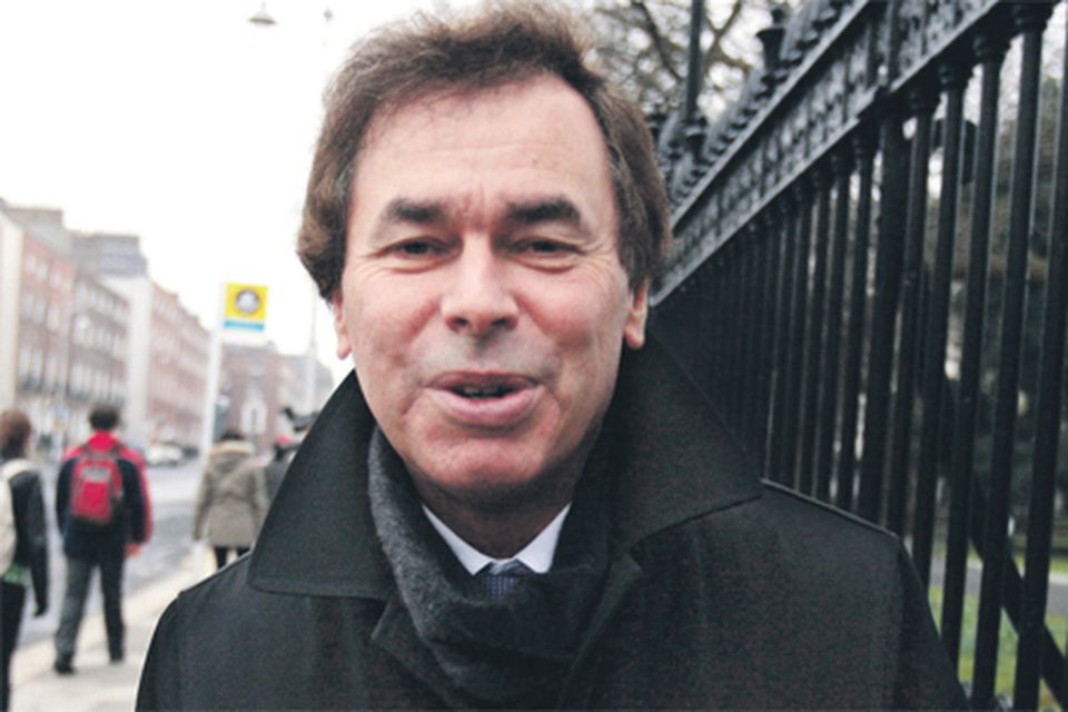Legislator got 'X-factor' makeover in corny leaflet | Irish Independent
