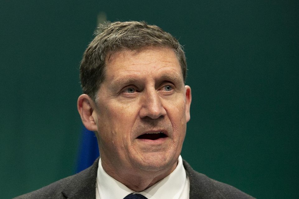 Green ministers to keep current portfolios in Cabinet reshuffle | Irish ...