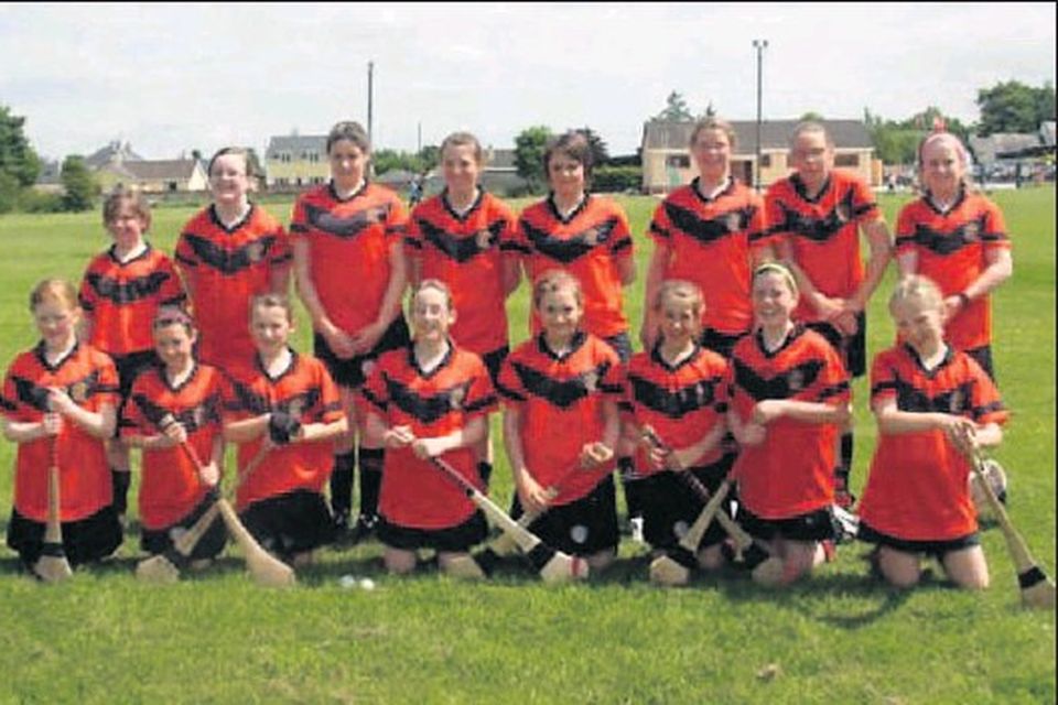 St Kevin's team travel to Offaly for Feile na nGael | Irish Independent