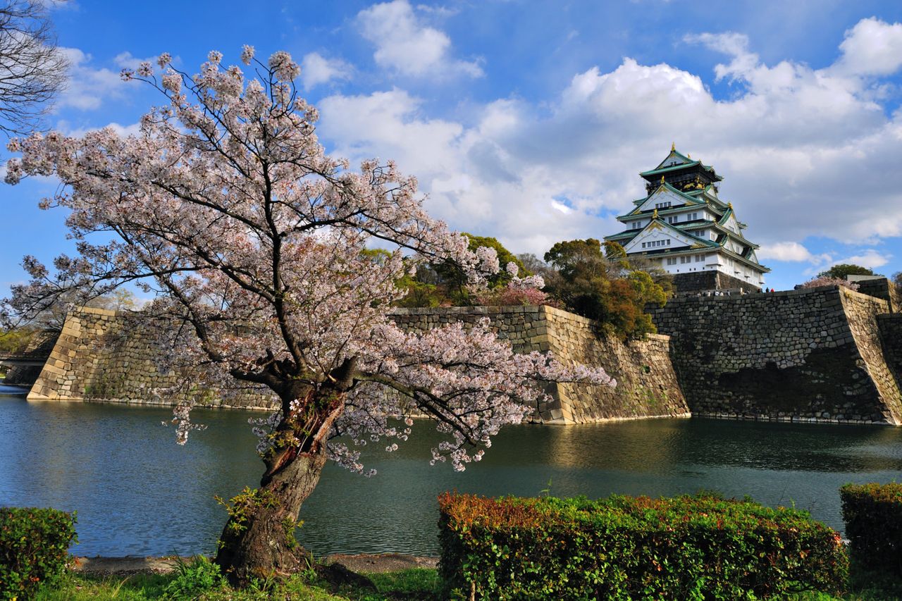 Osaka: In the pink at springtime | Irish Independent