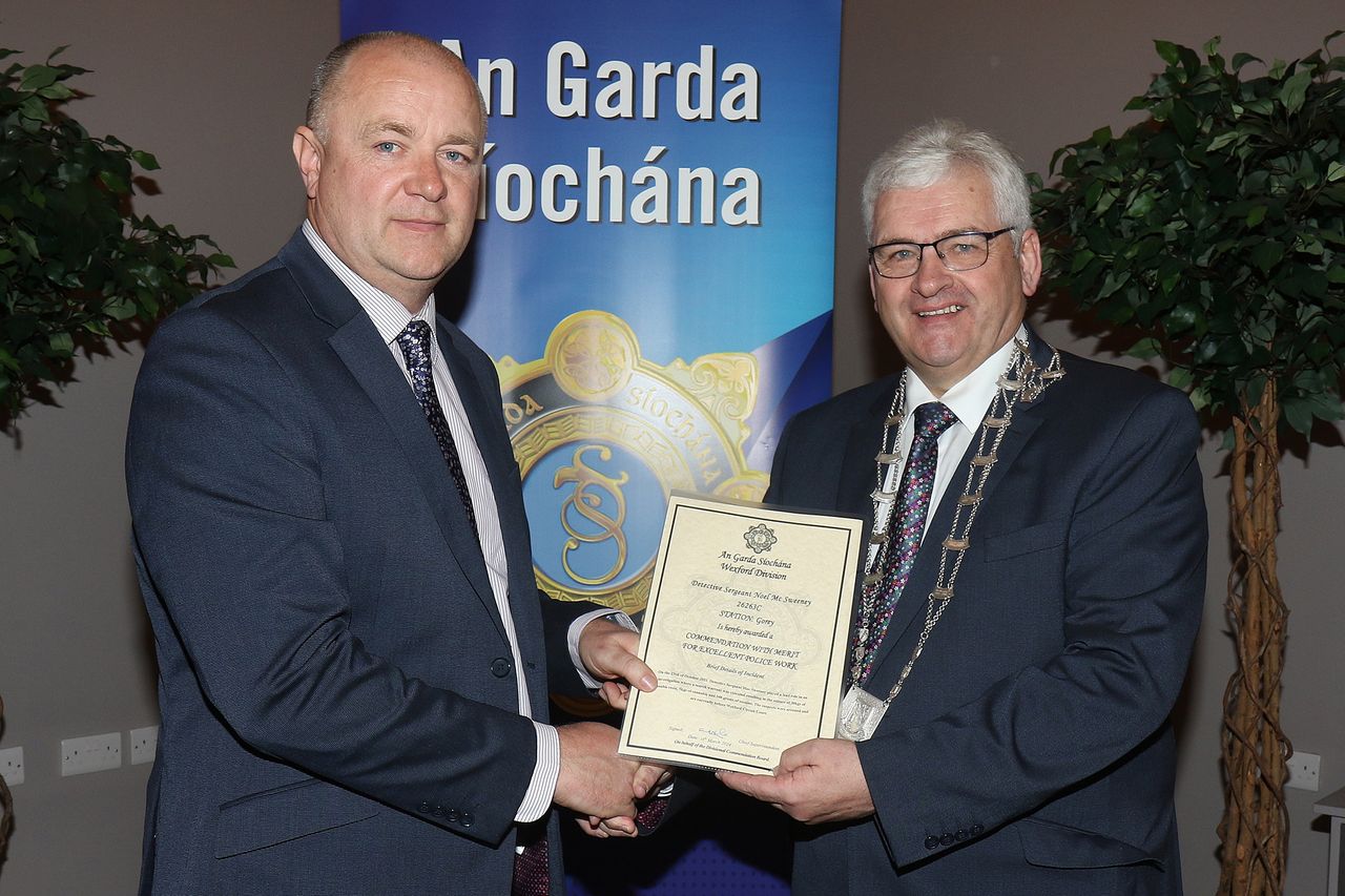 Bravery and dedication of Wexford gardaí recognised at Divisional ...