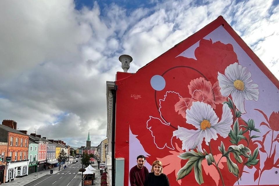 Dundalk mural ‘Coulter Poppies’ named among world’s 100 most popular ...
