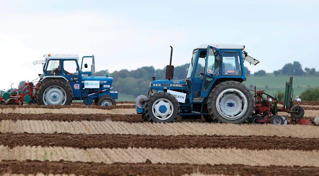 Don't forget the stars of the plough | Irish Independent