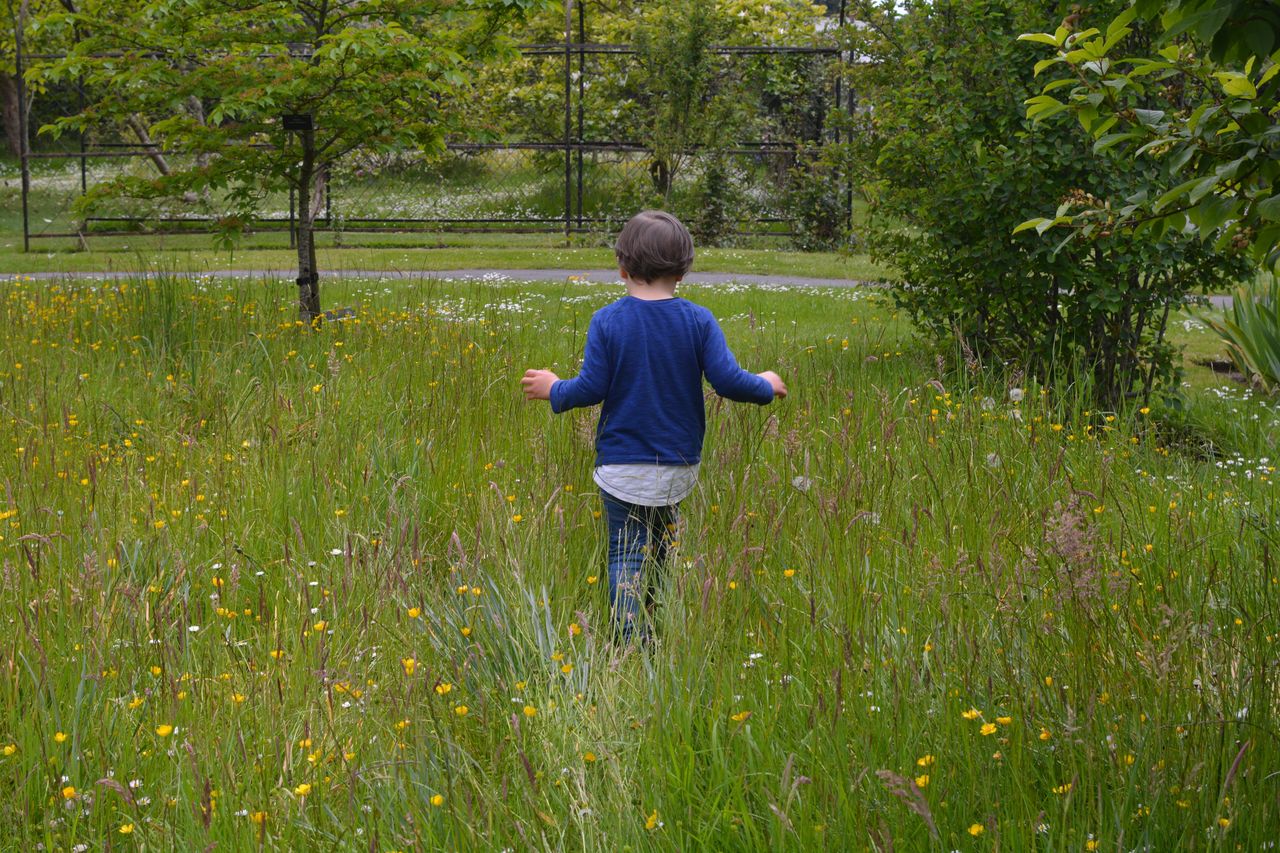 West Wicklow reforestation project puts down roots for future ...