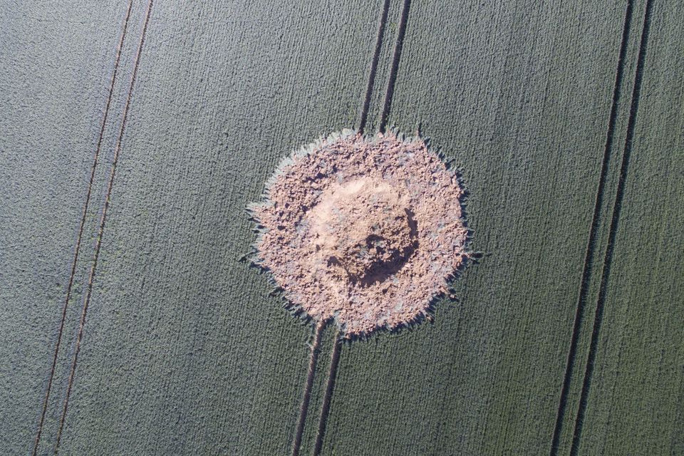 Crater appears in German cornfield after Second World War bomb explodes ...