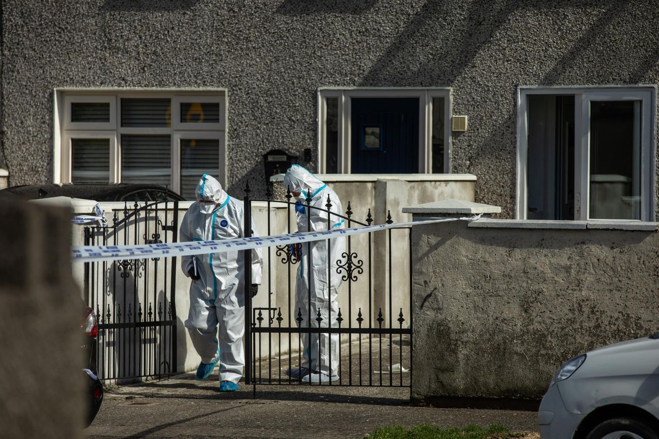 Tallaght stabbings: Gardaí release pictures of tragic twins (8 ) and ...