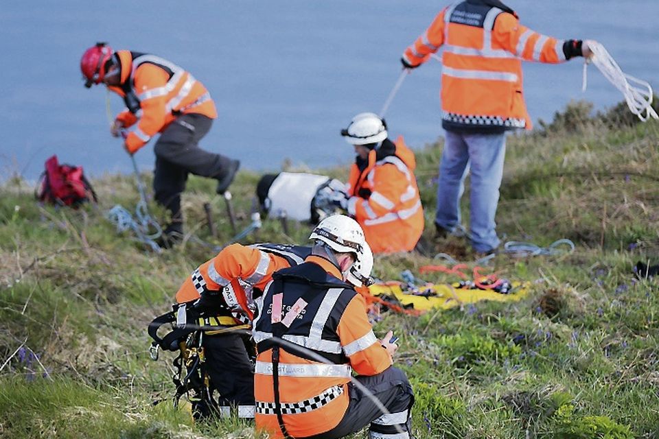 Coastguard swoops to pet pooch's rescue after 150ft cliff fall ...