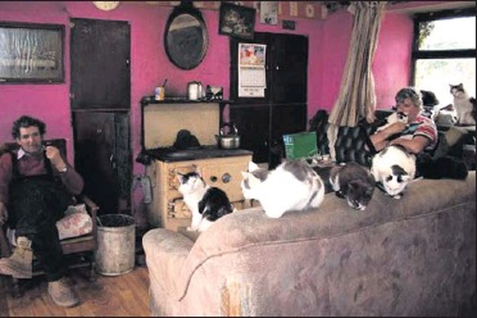 Book and DVD to document colourful lives of Kiltealy duo | Irish ...