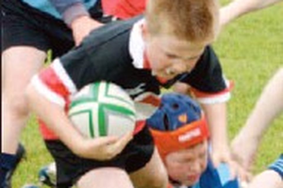 Great display by Wicklow minis | Irish Independent