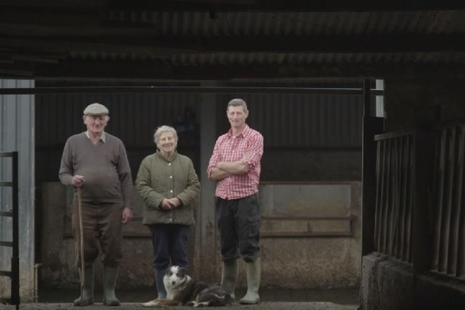 Consistency in an ever changing farming landscape | Irish Independent