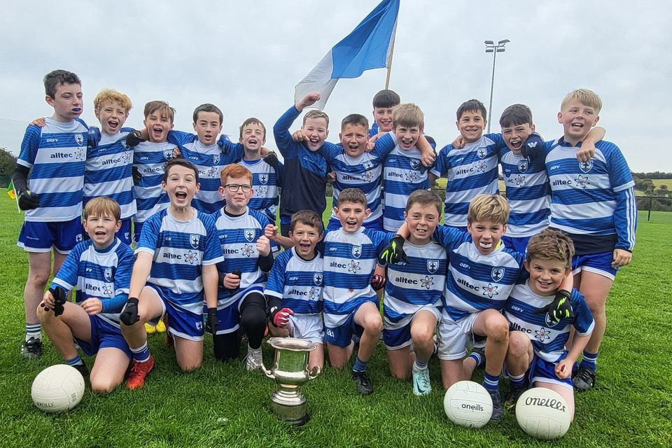 Blessington power to Allen Cup crown with victory over Baltinglass ...