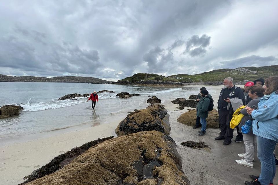 Irish seaweed is an amazing super food, so why aren’t more of us eating ...