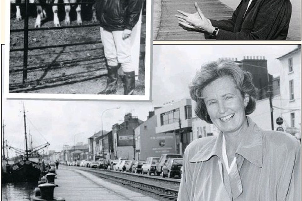 Avril's remarkable life in politics | Irish Independent