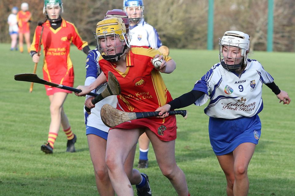 Goalkeeper Keeva stars for Craanford-Monaseed in win over Davidstown ...
