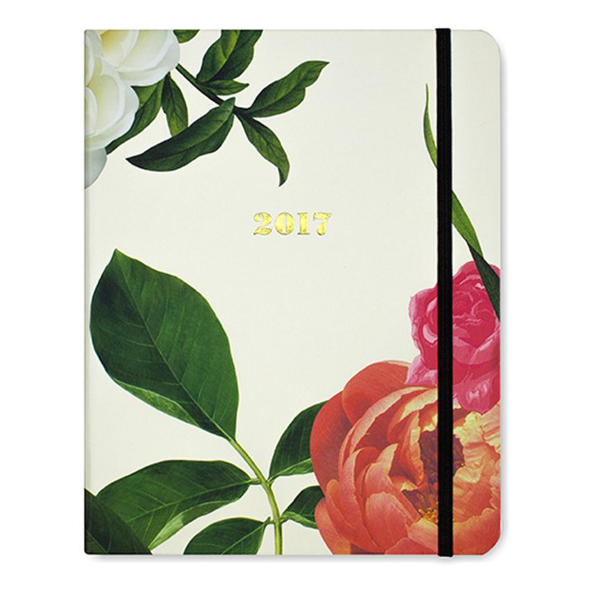 The return of the paper diary | Irish Independent