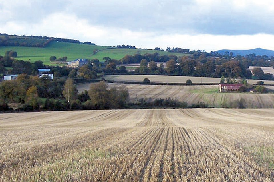 87ac Bettystown tillage farm sells for €1m by private treaty | Irish ...