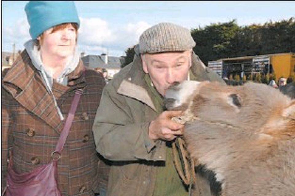 The week in pictures | Irish Independent
