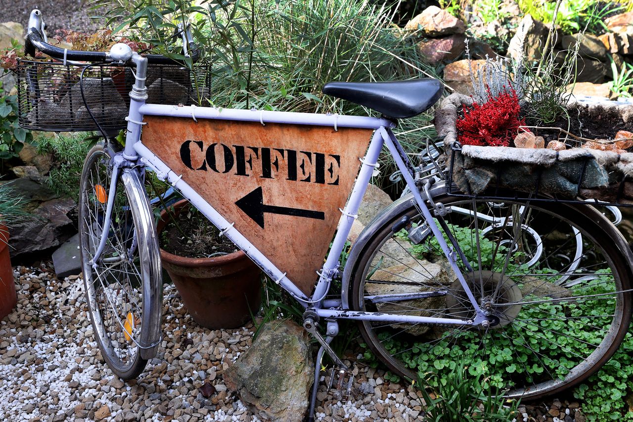 Dublin’s 10 best spots for an outdoor coffee | Irish Independent