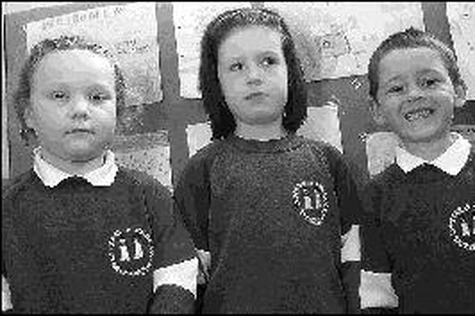 St. Patricks Day essay, poetry and art competition | Irish Independent