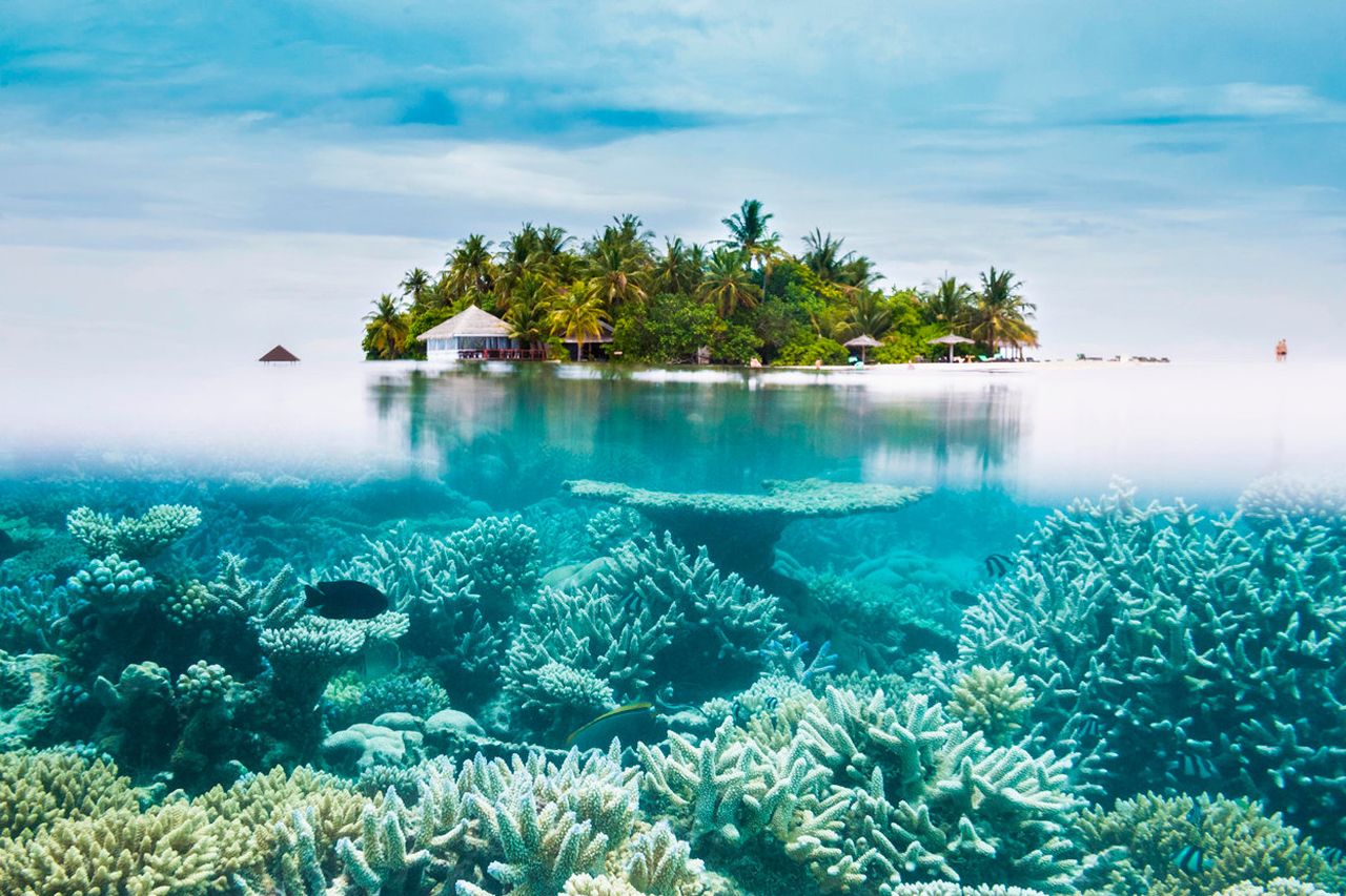Maldives: Top travel tips for your trip to paradise | Irish Independent