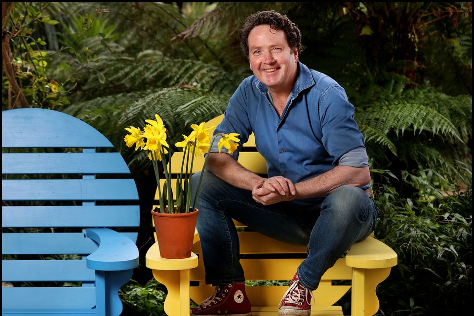 Diarmuid Gavin: How I got busy during a year in my own garden | Irish ...