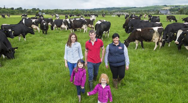 How this blocklayer in the boom built up a champion dairy herd from ...