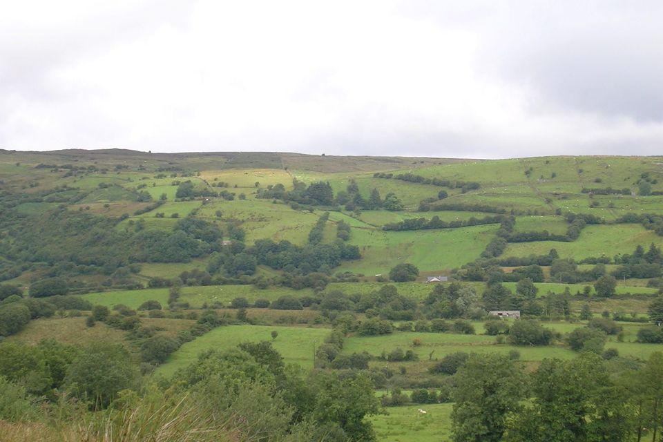 Few cases taken for hedgerow destruction or burning | Irish Independent