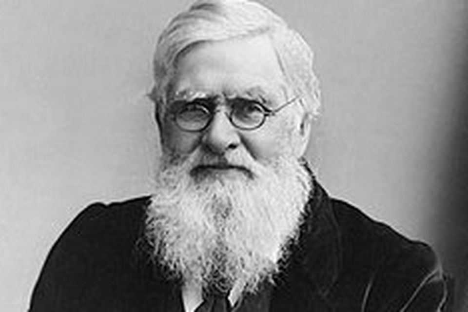 Alfred Russel Wallace’s exotic insects contributed to theory of ...
