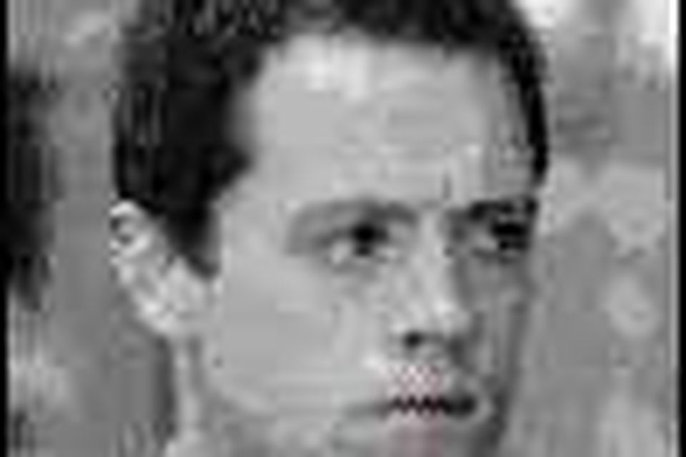 Murder trial hears man was armed with pickaxe | Irish Independent