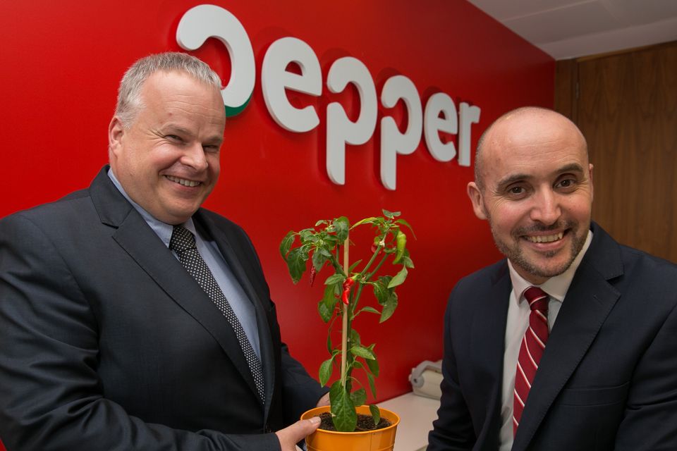 Pepper 'will eventually lend up to €400m a year' | Irish Independent