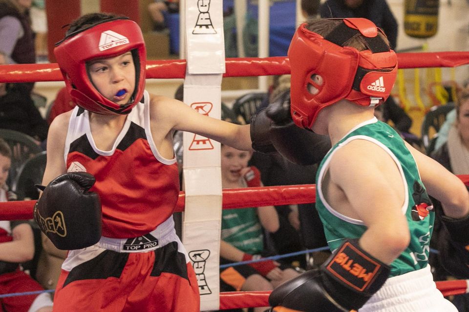 Arklow boxers in flying form | Irish Independent