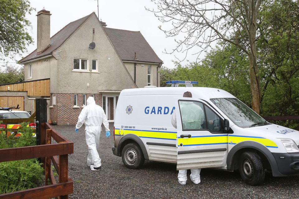 Mum and daughter (3) terrified after four armed men break into home ...