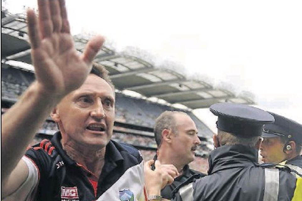 Fans' court replay | Irish Independent