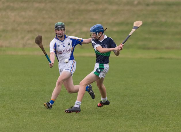 Carnew edge closer to top of Minor hurling table | Irish Independent