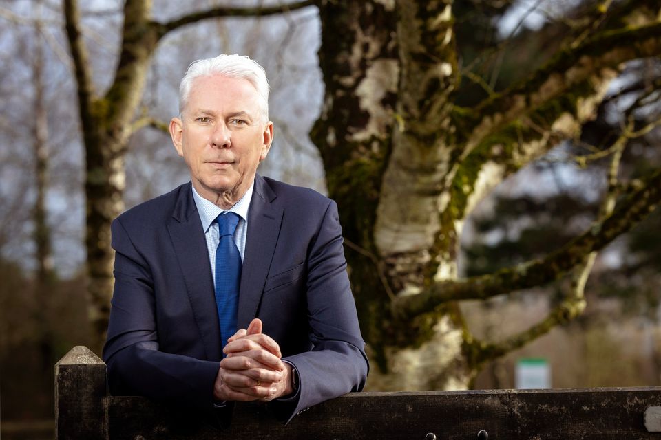 Bord na Móna chief’s benefits package reduced to €57k on top of salary ...