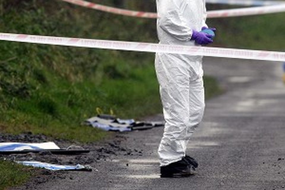 Three questioned over kidnapping | Irish Independent