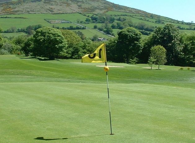 Stratford-Grangecon GAA gear up for annual golf classic | Irish Independent