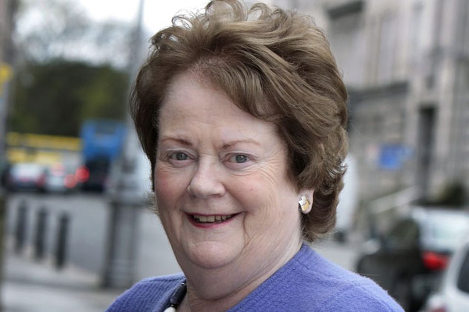 Fionnan Sheahan: O'Rourke joins nephew Lenihan in election battle ...