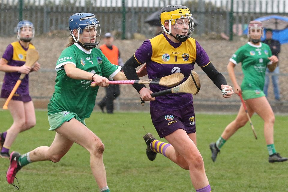 Wexford Minors held to a draw by late Limerick revival | Irish Independent