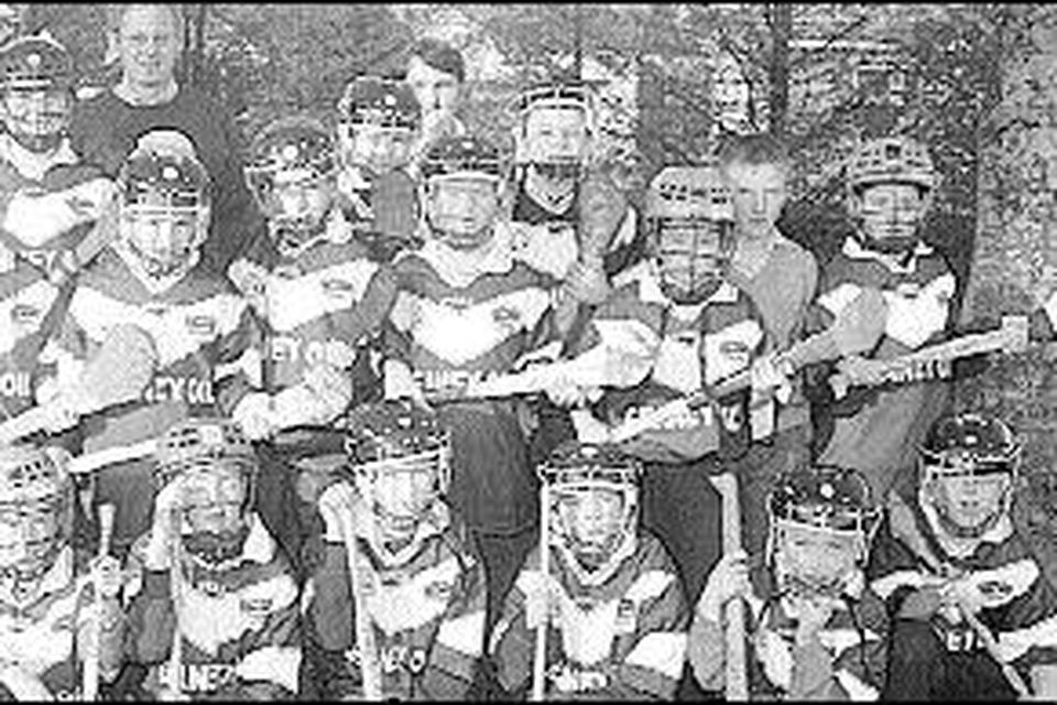 Hurling makes progress in the football stronghold of Dingle | Irish ...