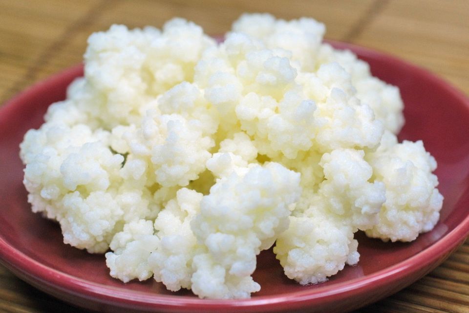Kefir an excellent food to include in your diet | Irish Independent