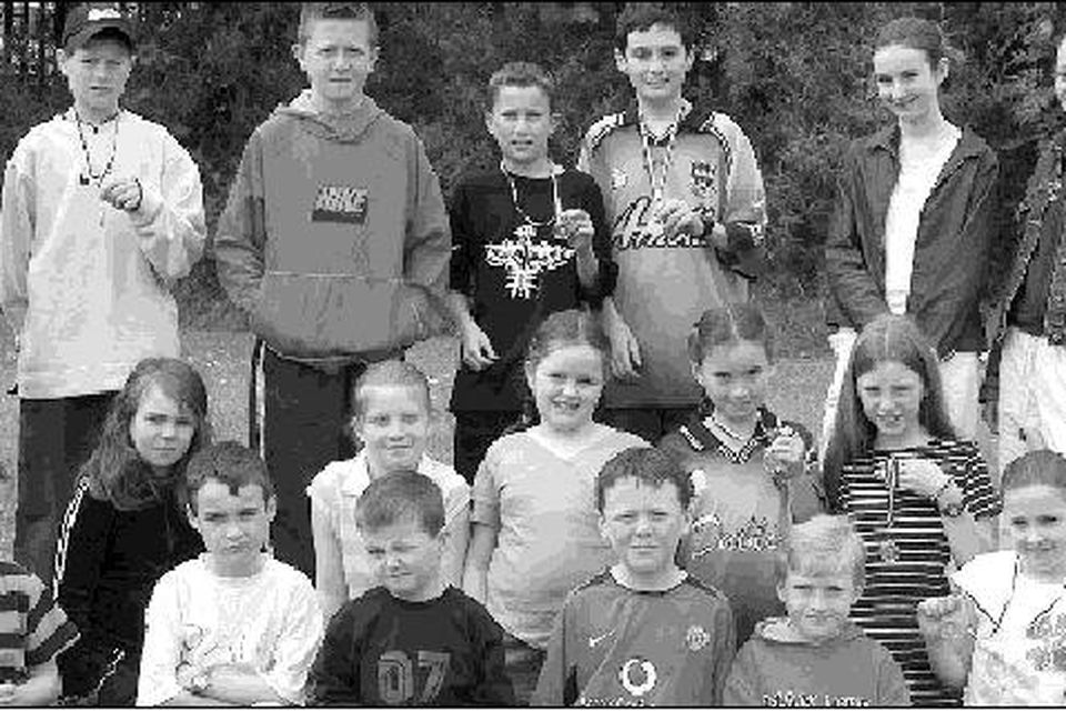 Young Skerries artists strike gold in Games finals | Independent.ie