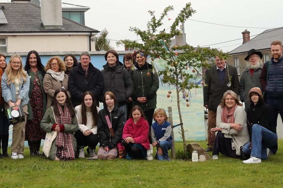 May Bush Féile revives old traditions in Gorey | Irish Independent
