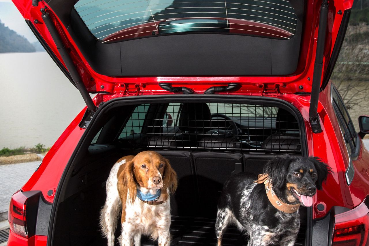 Opel makes a new case for estates with Astra Sports Tourer | Irish ...