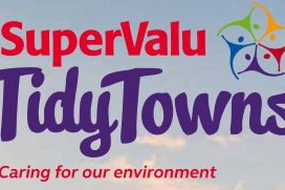 TidyTowns 2023: Abbeyleix crowned Ireland’s tidiest town | Irish ...