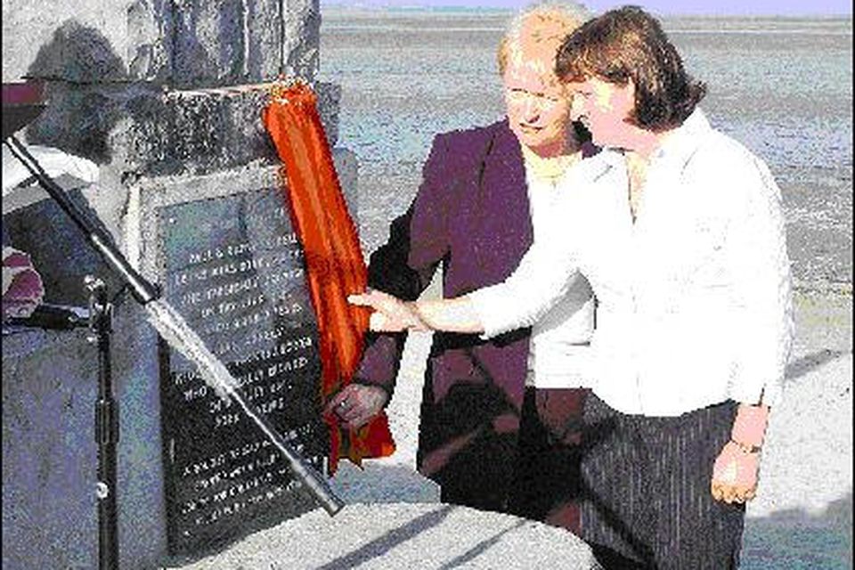 Plaque recalls drownings of 3 young boys | Irish Independent